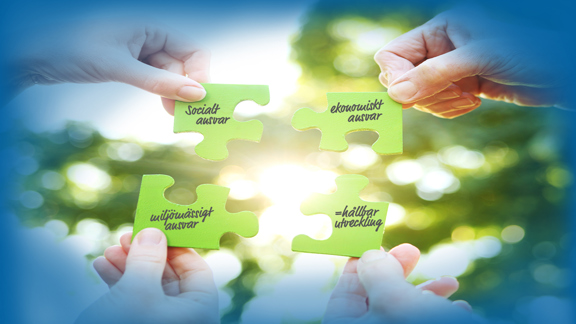 Ägarstruktur & bolagsinfo - Värnamo Energi